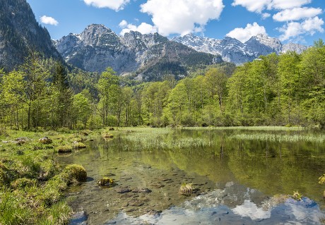 Mittersee Salet Koenigssee Berchtesgadener Land Upper Editorial Stock ...