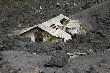 47 People outside broken house Stock Pictures, Editorial Images and ...