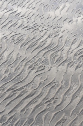500 Mud pattern Stock Pictures, Editorial Images and Stock Photos ...