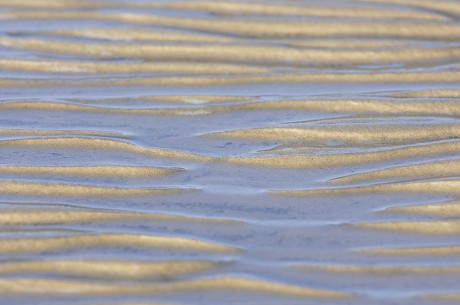 500 Mud pattern Stock Pictures, Editorial Images and Stock Photos ...