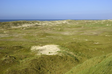 Dunes Norderney East Frisian Islands Lower Editorial Stock Photo ...