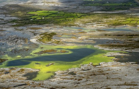 33 Algae formation Stock Pictures, Editorial Images and Stock Photos ...