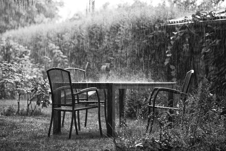 500 Dampishness Stock Pictures, Editorial Images and Stock Photos ...