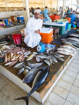 Merchant Various Fish Fish Market Muttrah Editorial Stock Photo - Stock ...