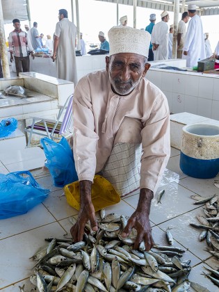 Merchant Selling Fresh Fish Fish Market Editorial Stock Photo - Stock ...