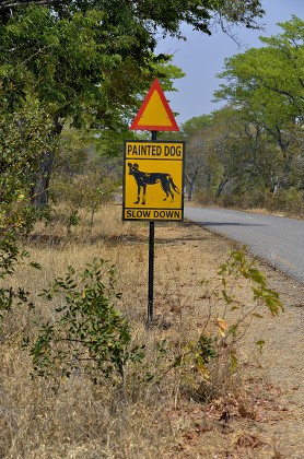 Warning Sign Painted Dog Attention African Editorial Stock Photo ...