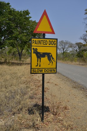 Warning Sign Painted Dog Attention African Editorial Stock Photo ...