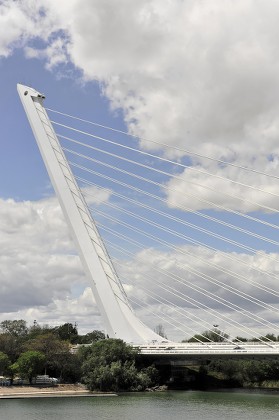 Puente Del Alamillo Alamillo Bridge Across Editorial Stock Photo ...
