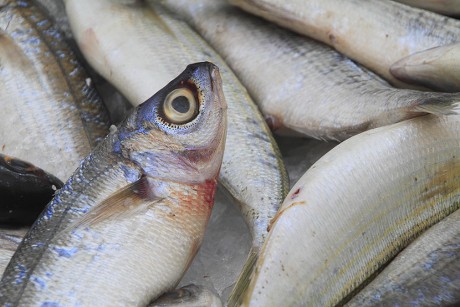 38 Eating fish eyes Stock Pictures, Editorial Images and Stock Photos ...