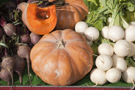 500 Cucurbits Stock Pictures, Editorial Images and Stock Photos ...