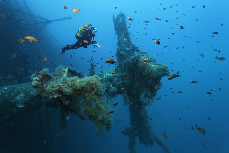 5 Diving mast Stock Pictures, Editorial Images and Stock Photos ...