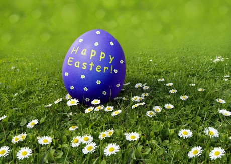 26 Happy easter decorations Stock Pictures, Editorial Images and Stock ...