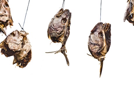 42 Dried fish racks Stock Pictures, Editorial Images and Stock Photos ...