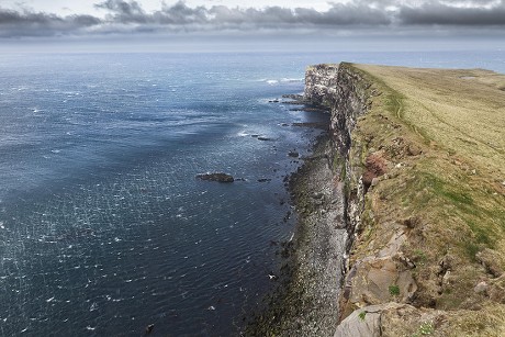 Cliffs Sea On Coast Latrabjarg Lautrabag Editorial Stock Photo - Stock Image | Shutterstock