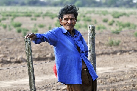 Land Grabbing Pedro Segundo Wichi Indians Editorial Stock Photo - Stock ...
