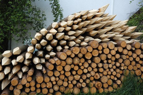 Stack Sharpened Wooden Stakes Fencing Lillinghof Editorial Stock Photo ...