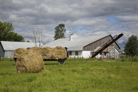 42 Hay carts Stock Pictures, Editorial Images and Stock Photos ...