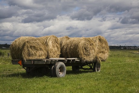 42 Hay carts Stock Pictures, Editorial Images and Stock Photos ...