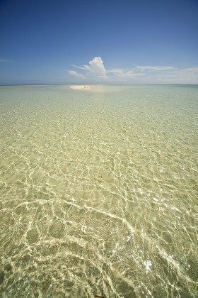 46 Shallow water bodies Stock Pictures, Editorial Images and Stock ...