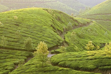 500 Western ghats Stock Pictures, Editorial Images and Stock Photos ...