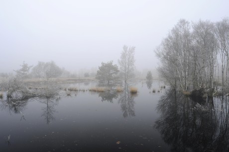 78 Lowland areas Stock Pictures, Editorial Images and Stock Photos ...