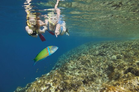 46 Shallow water bodies Stock Pictures, Editorial Images and Stock ...