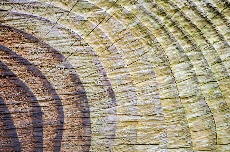 64 Annuluses Stock Pictures, Editorial Images and Stock Photos ...
