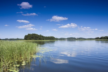Wigry Lake Wigry Wigierski National Park Editorial Stock Photo - Stock ...