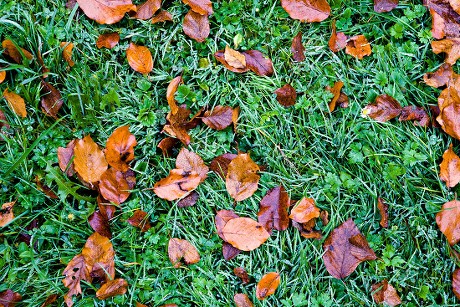 500 Dampishness Stock Pictures, Editorial Images and Stock Photos ...