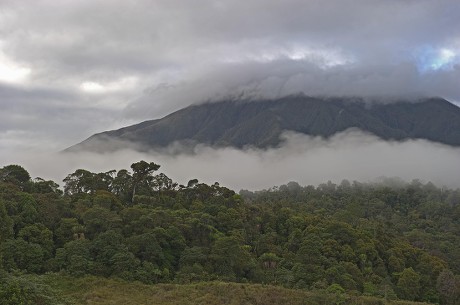 Montane Forest Grassland Tari Gap 9000 Editorial Stock Photo - Stock ...