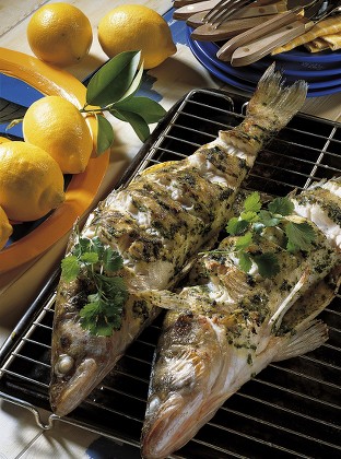 Grilled Pikeperch Egypt Editorial Stock Photo - Stock Image | Shutterstock