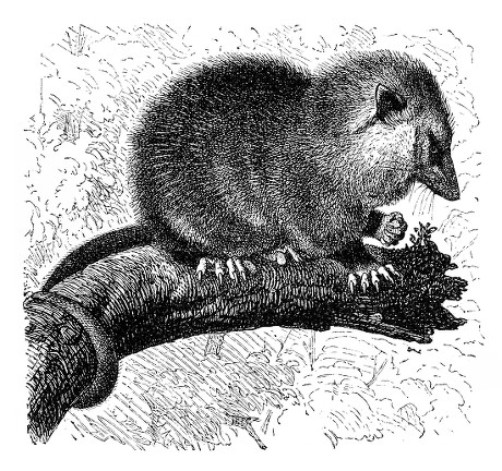 20,000 1880s Stock Pictures, Editorial Images and Stock Photos ...