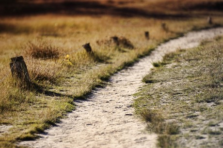 68 Sandy paths Stock Pictures, Editorial Images and Stock Photos ...