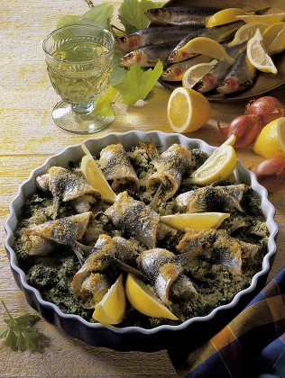 32 European pilchard Stock Pictures, Editorial Images and Stock Photos ...