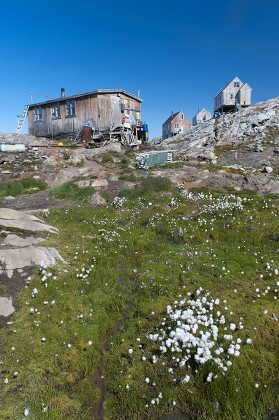250 Eskimo village Stock Pictures, Editorial Images and Stock Photos ...