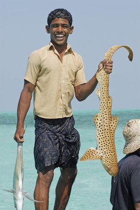 Fisherman Holding Common Dogfish Scyliorhinus Caniculus Editorial Stock ...