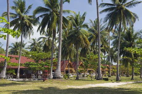 500 Cocos islands Stock Pictures, Editorial Images and Stock Photos ...