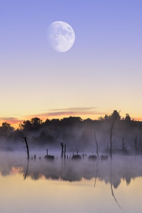 90 Areas of southern plains Stock Pictures, Editorial Images and Stock ...