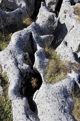 Karst Landforms Gullies Geology Limestone Geological Editorial Stock Photo - Stock Image ...