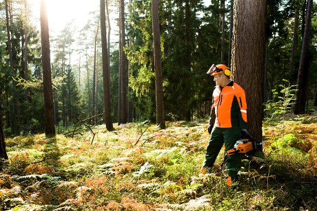 46 Lumber jack Stock Pictures, Editorial Images and Stock Photos ...