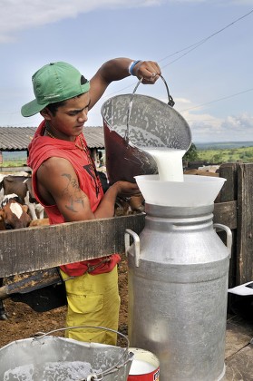 Teenager Pouring Fresh Milk Into Large Editorial Stock Photo - Stock ...