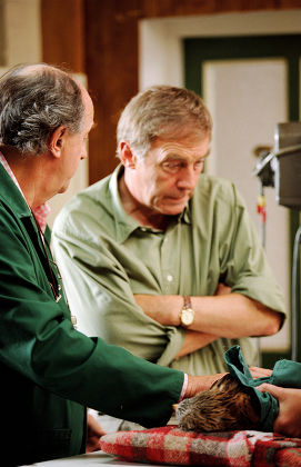 Noahs Ark Tv 1997 Chris Jury Editorial Stock Photo - Stock Image ...