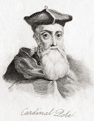 Reginald Pole 1500 1558 English Cardinal Editorial Stock Photo - Stock ...