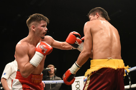 Johnny Coyle Redwhite Shorts Defeats Nelson Editorial Stock Photo ...