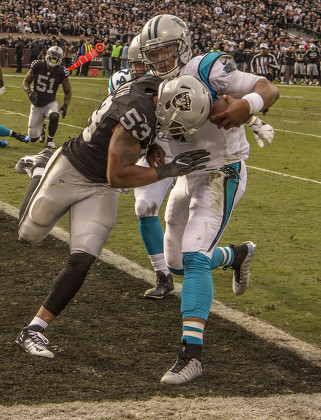 24 NFL Panthers vs Raiders, Oakland, USA - 27 Nov 2016 Stock Pictures ...