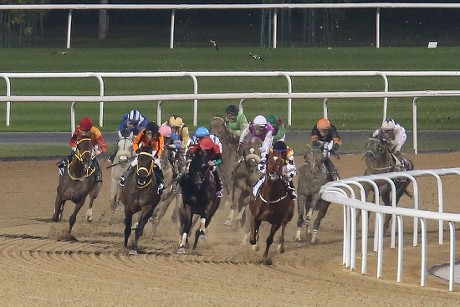 Dubai Meydan Race Track Editorial Stock Photo - Stock Image | Shutterstock