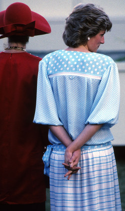 38 Diana, princess florida Stock Pictures, Editorial Images and Stock ...