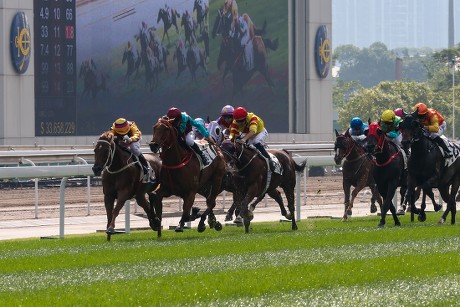 Longines Hkir Sha Tin Winners Way Editorial Stock Photo - Stock Image ...