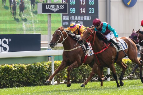 Longines Hkir Sha Tin Winners Way Editorial Stock Photo - Stock Image ...
