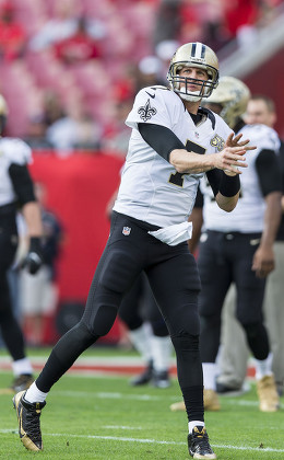 New Orleans Saints Quarterback Luke Mccown Editorial Stock Photo ...